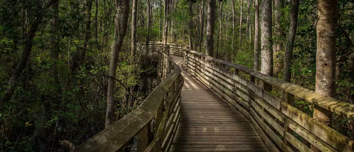 First Landing State Park - Virginia Beach Rentals | Transcendent Stays